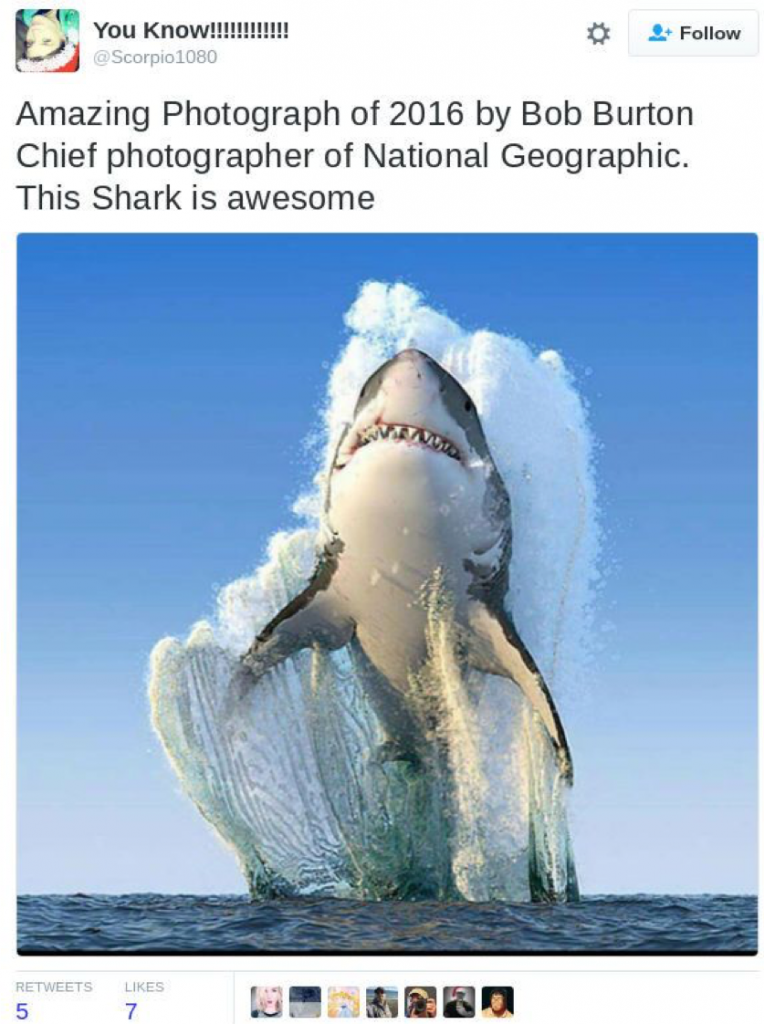 Three New Literacies for Today’s Classroom | National Geographic ...