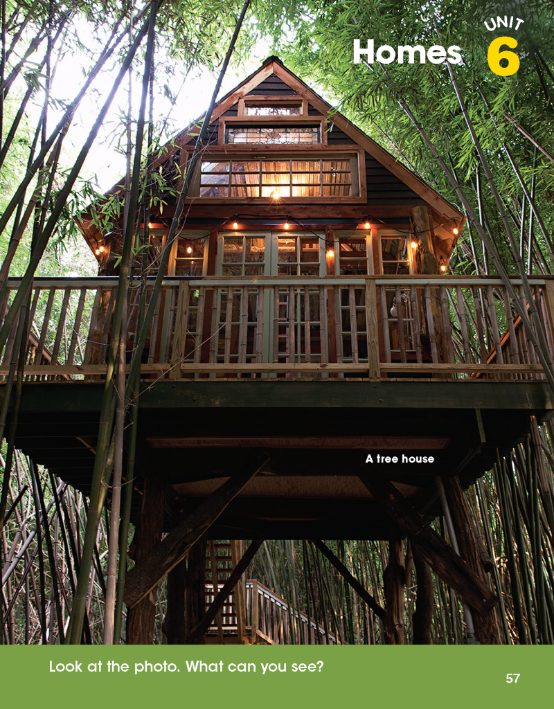 Look and Do: Dream Homes | National Geographic Learning: In Focus