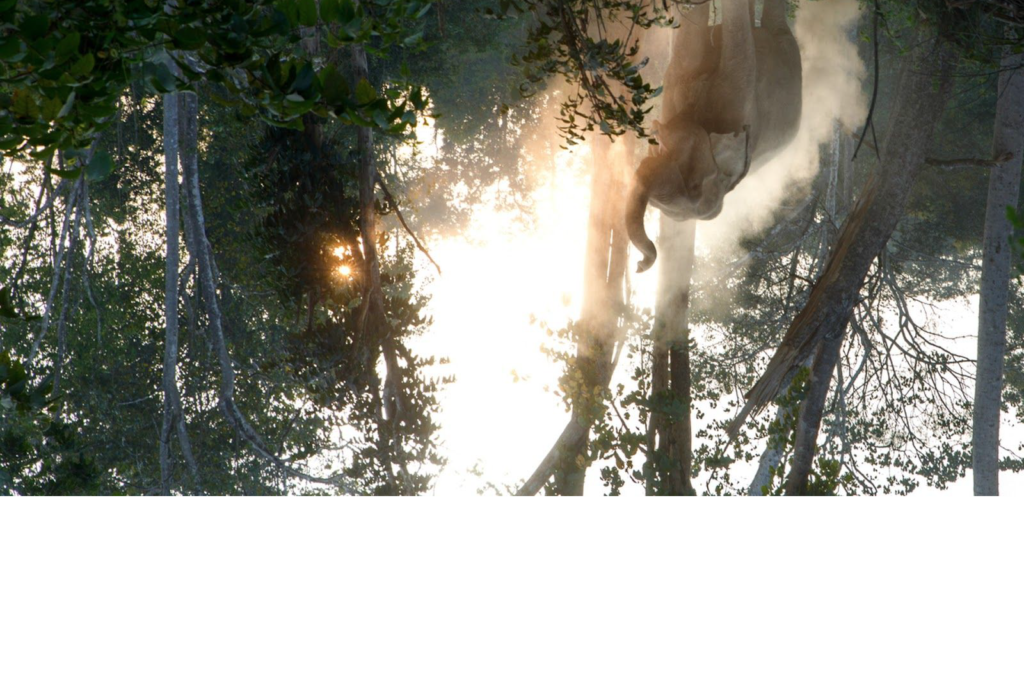 image-17 | National Geographic Learning: In Focus