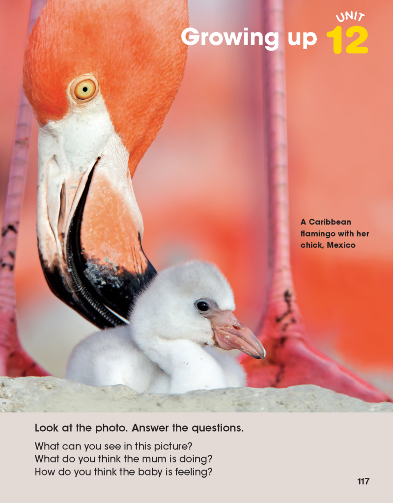 We love our planet: ideas for creative project lessons | National ...