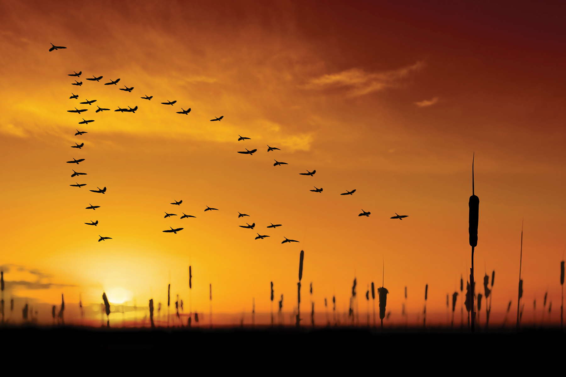 Staying Motivated as an English Language Educator | National Geographic ...